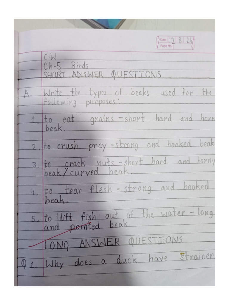 EVS Chapter 5 and Chapter 6 Notebook Work | PDF