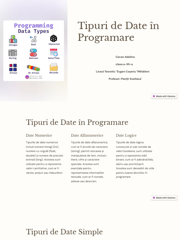 Tipuri de Date in Programare | PDF