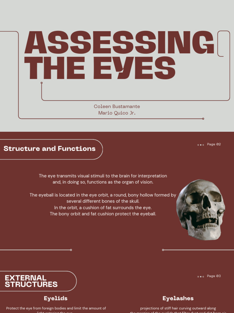 Assessing The Eyes | PDF