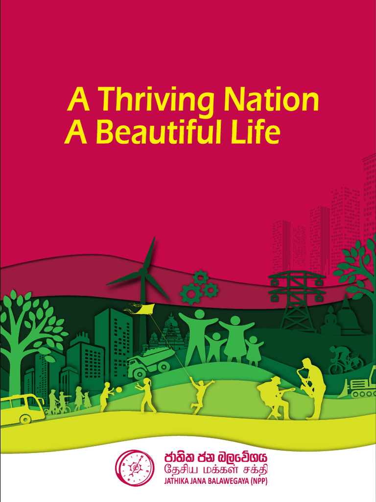 NPP Presidential Election Manifesto - 2024 | PDF