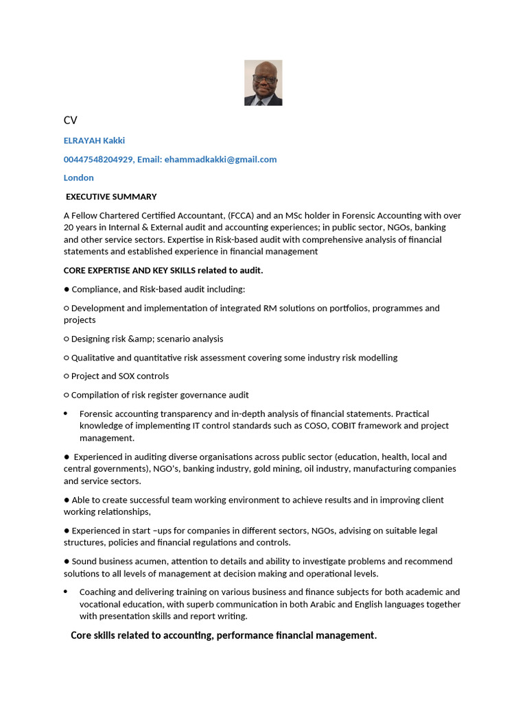 Detailed Professional CV 2023-24 | PDF | Audit | Business