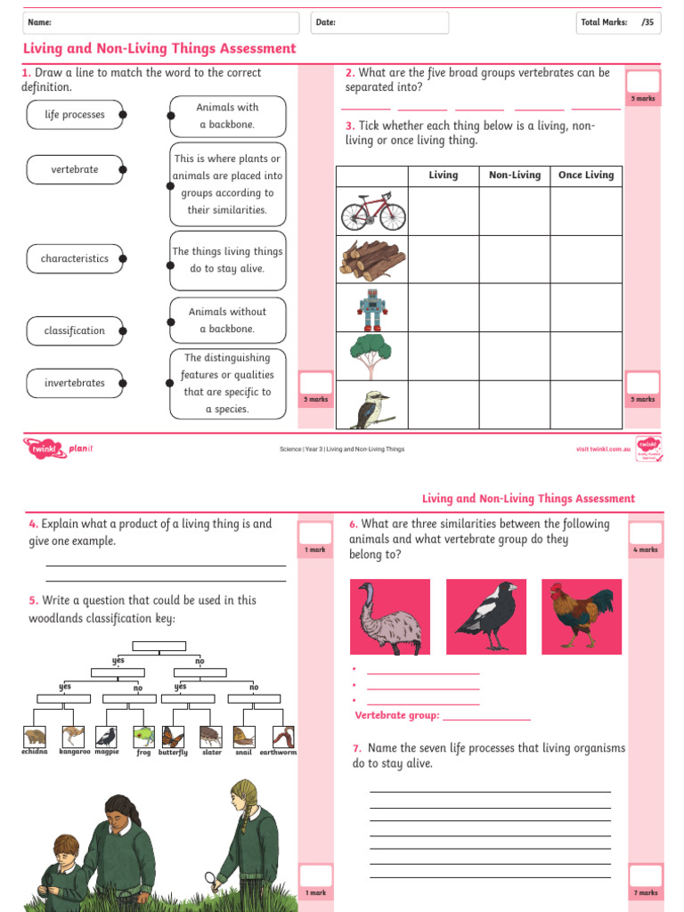 Au Ps 1662346802 Year 3 Science Living and Non Living Things Assessment ...