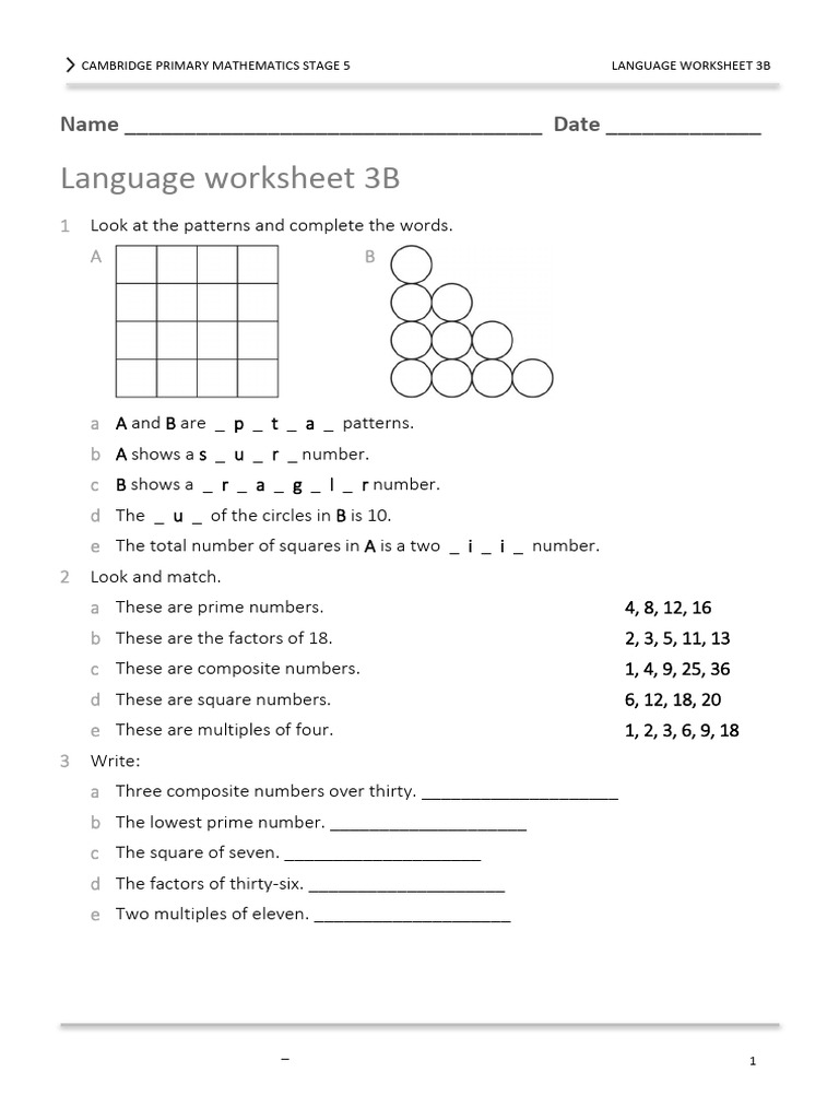 Prim Maths 5 2ed TR Lang Ws 3b | PDF