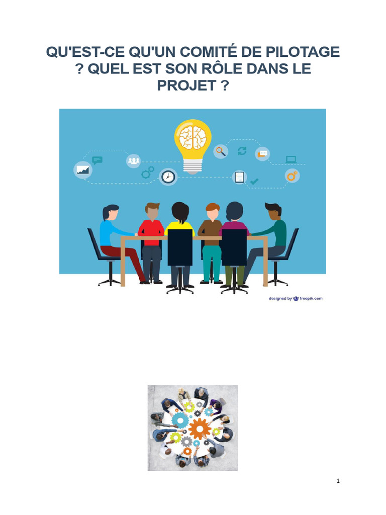 Comité de Pilotage - Quel Est Son Rôle Dans Le Projet | PDF