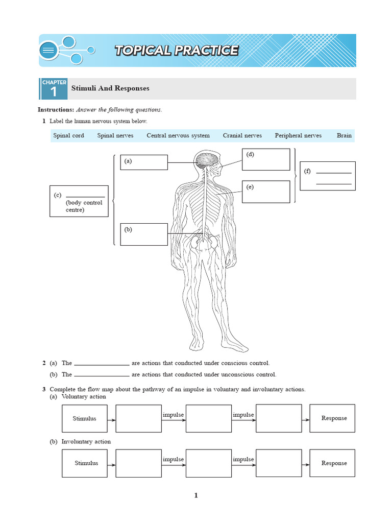 10 pt3 Soalan Bi | PDF