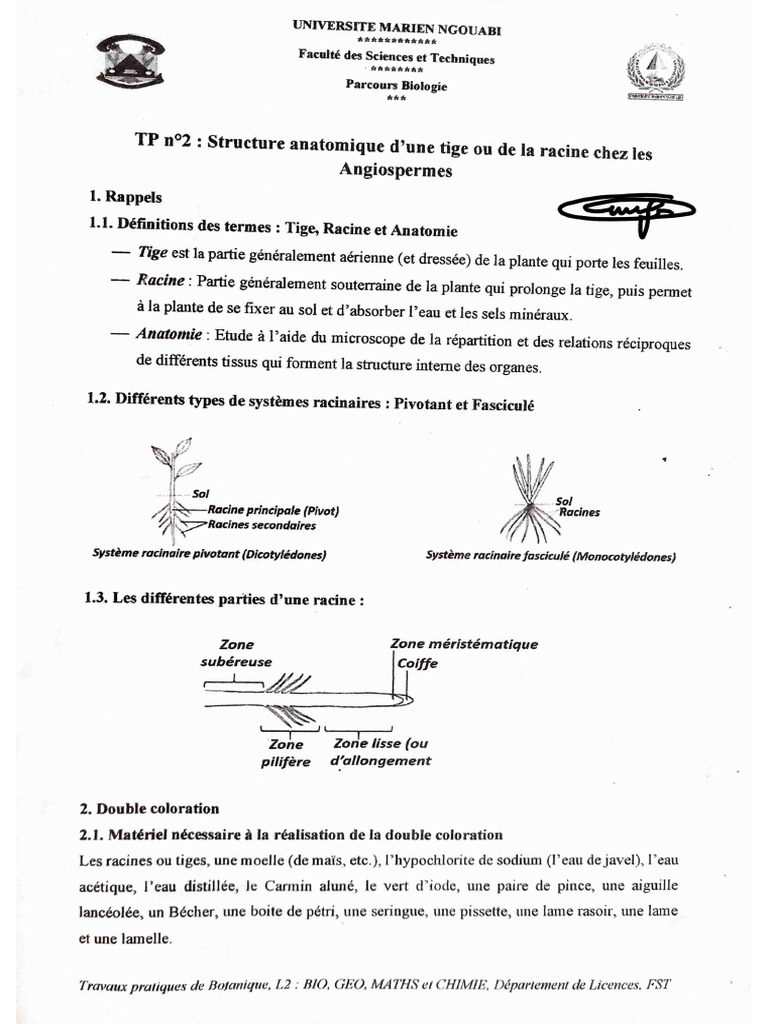 TP BOTANIQUE L2 BIO | PDF