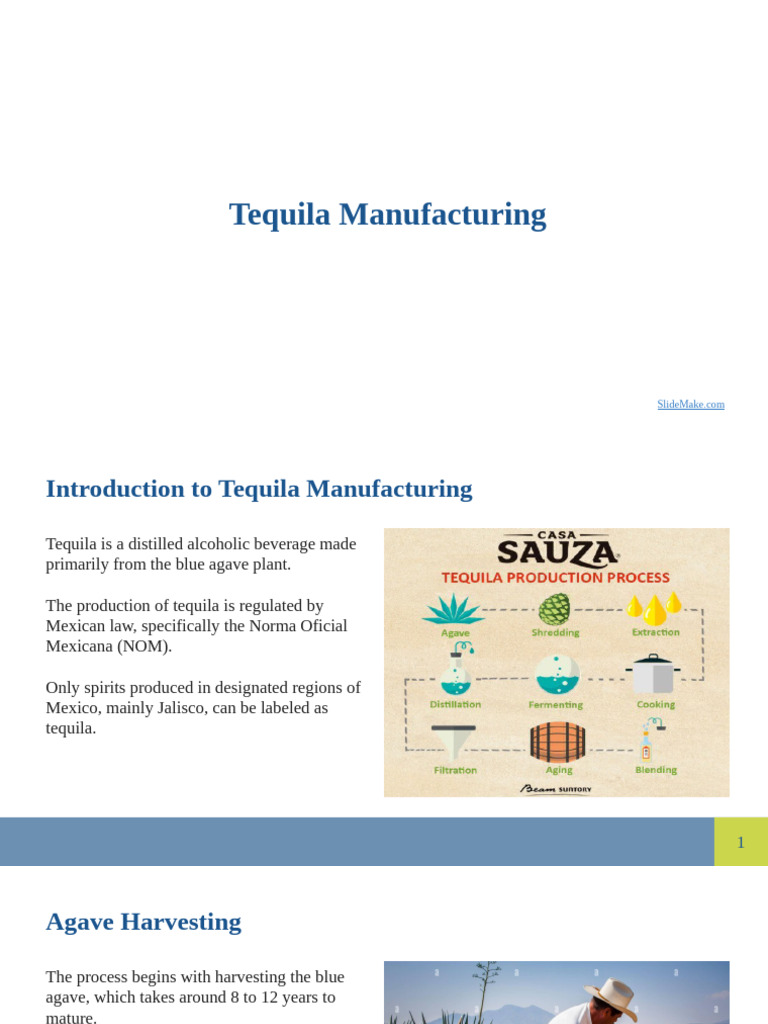 Brief Points On Tequila Manufacturing | PDF