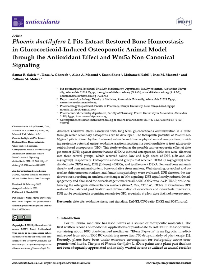 Phoenix Dactilyfera L Pits Extract Restored Bone Homeostasis | PDF