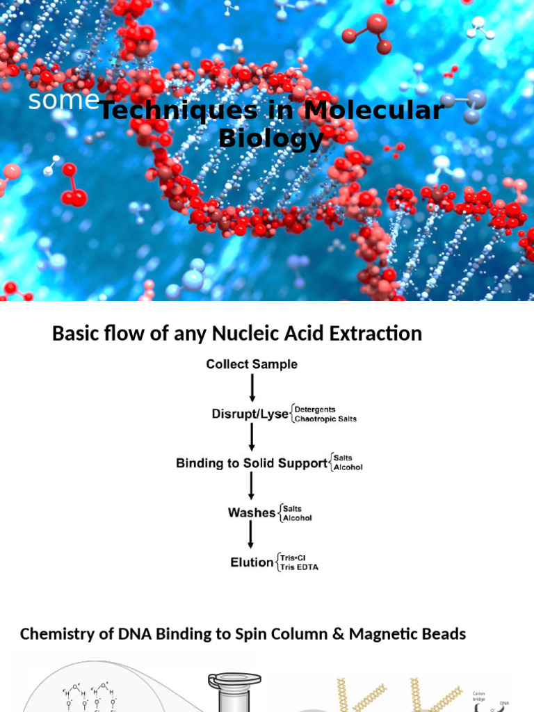 Main Mol Bio Tech Sat | PDF | Primer (Molecular Biology) | Molecular ...