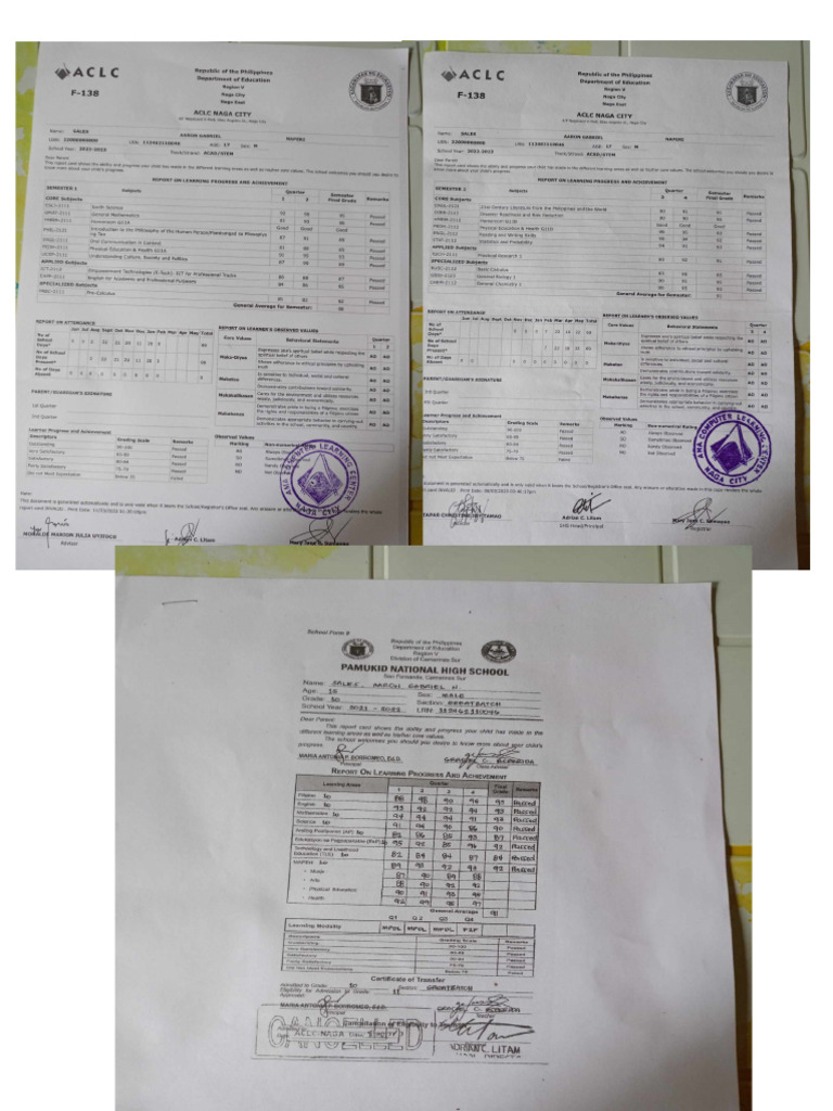 G10 (Grades) G11 (1st and 2nd Semester) | PDF