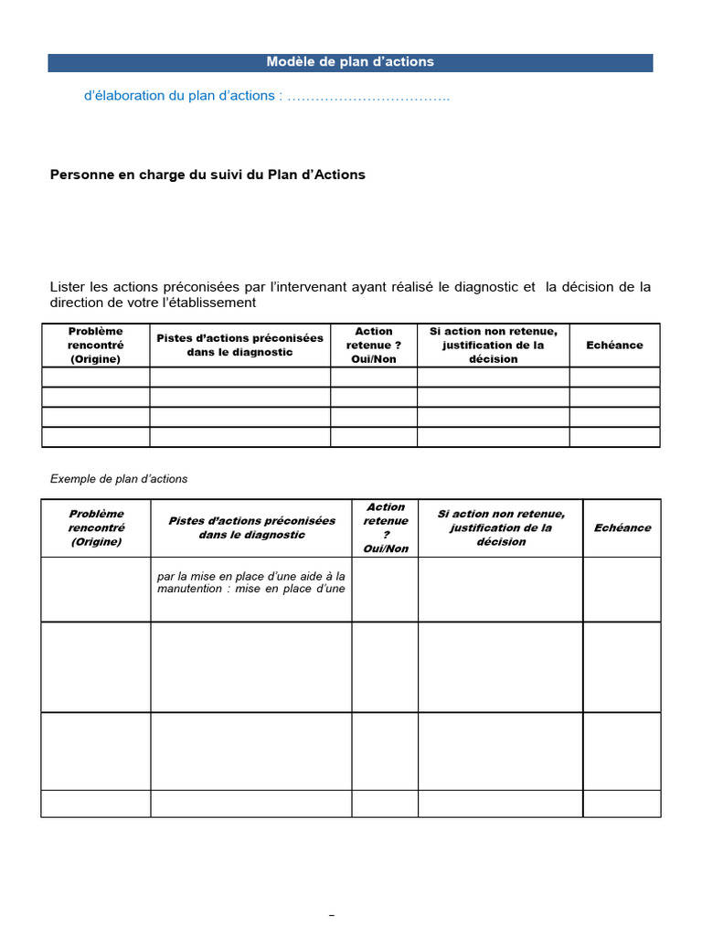 Modèle de Plan D'actions - TMS Pros Action | PDF