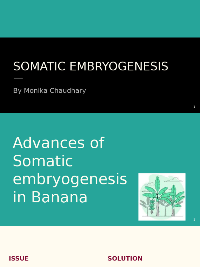 Somatic Embryogenesis Pdf