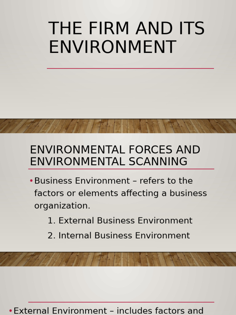 4 The Firm and Its Environment | PDF