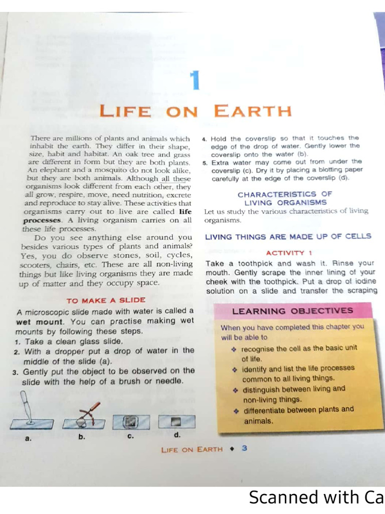 Living Things | PDF
