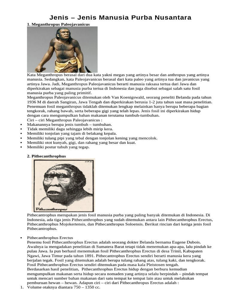Manusia Purba Indonesia | PDF