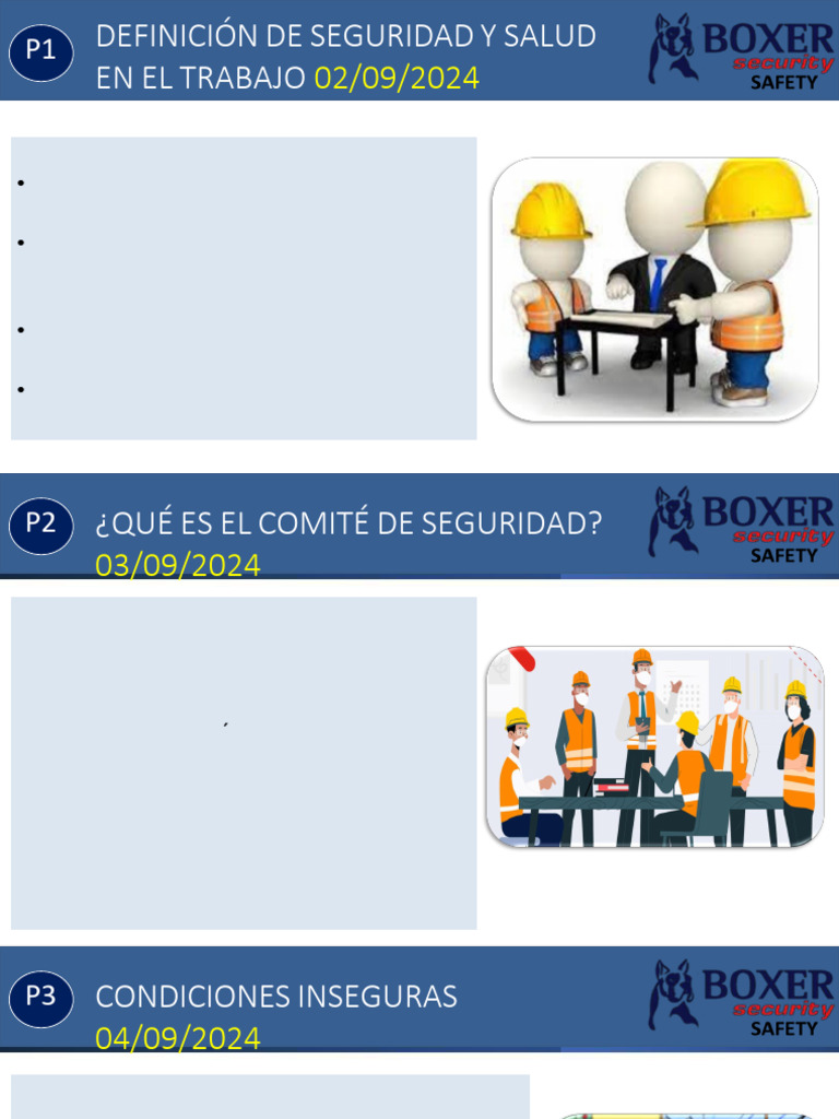 DDS - Safety - Set | PDF