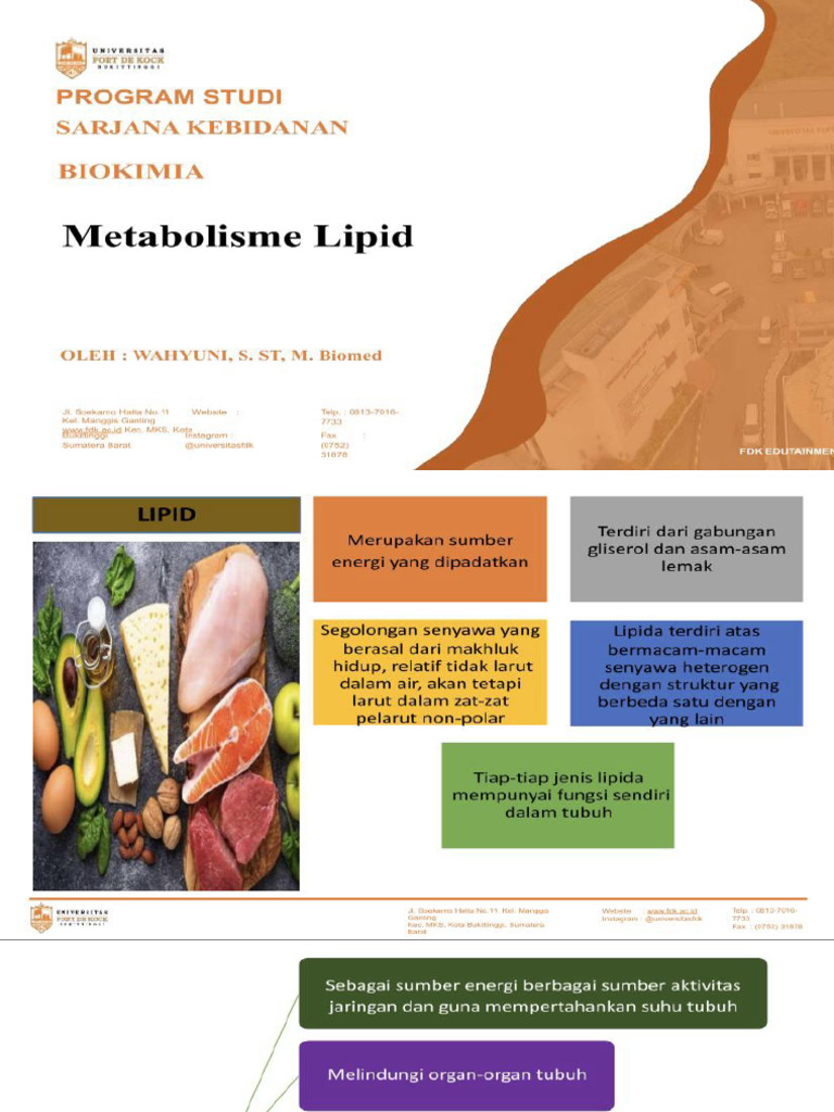 Metabolisme Lipid | PDF