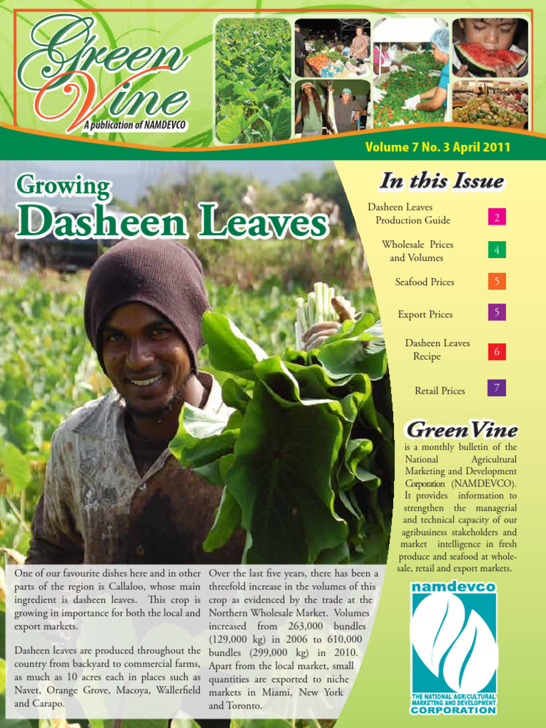 dasheen bush guide | PDF