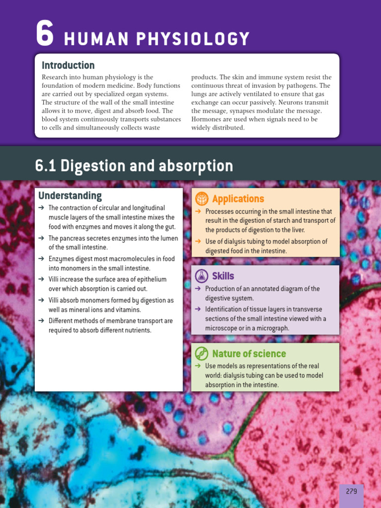 6.1 Digestion and Absorption | PDF