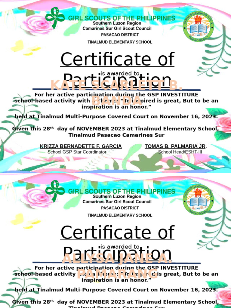 GSP Certificate-Star Scout | PDF