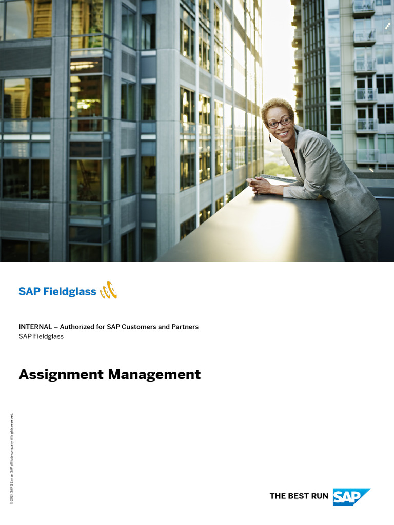 SAP FG Assignment Management | PDF