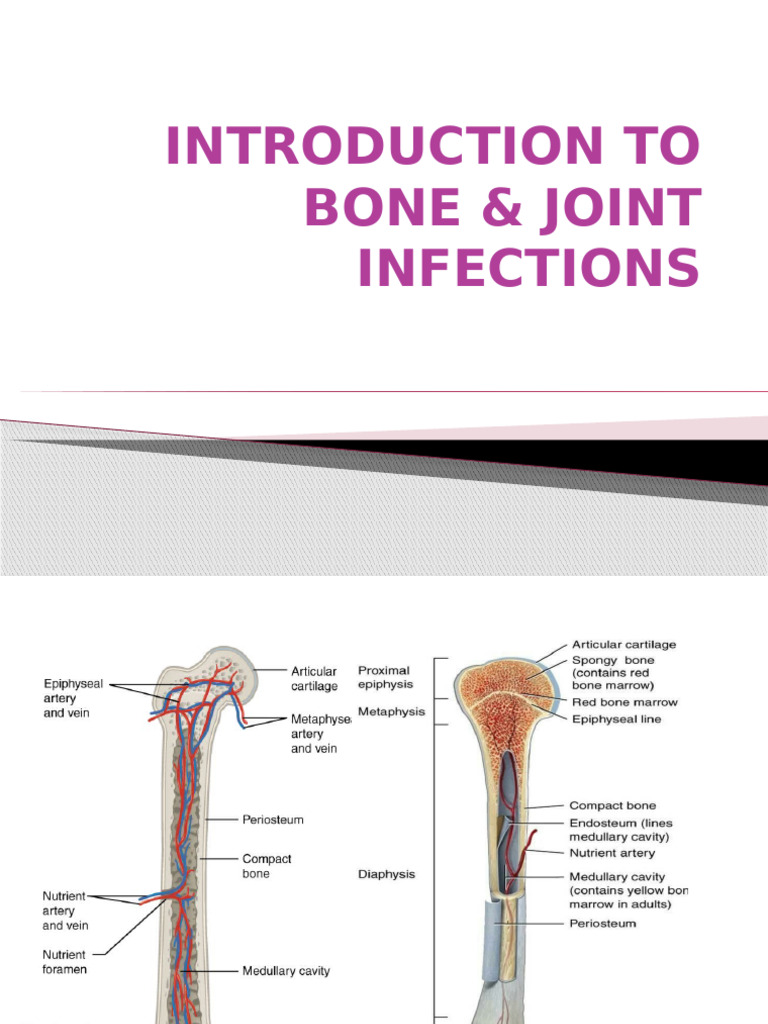 Introduction to Bone & Joint Infections | PDF