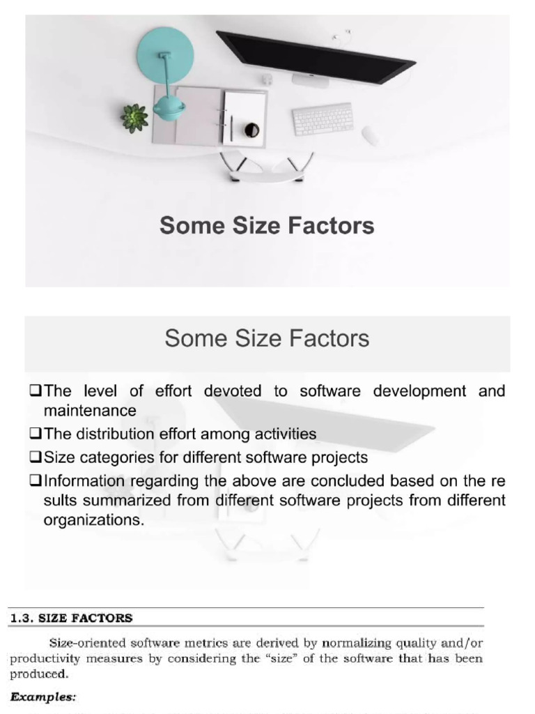 Size Factor | PDF