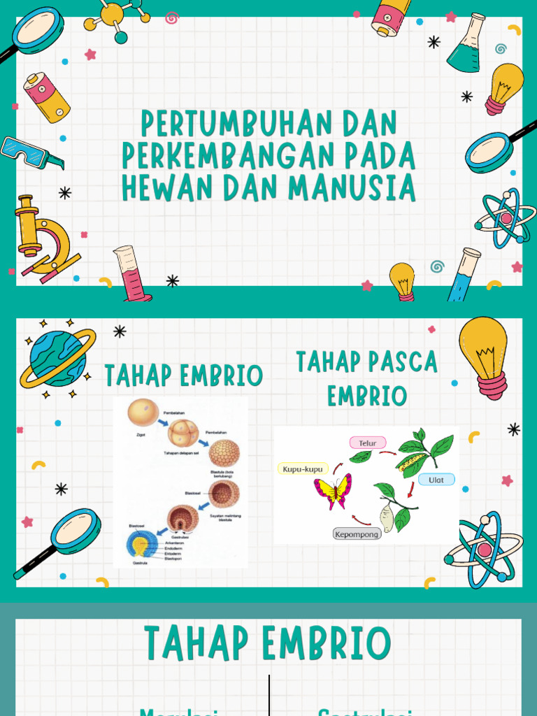 Proses Pembentukan Embrio Manusia | PDF