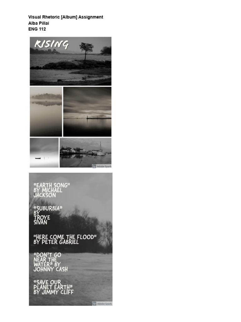 Visual Rhetoric (Album) Assignment | PDF