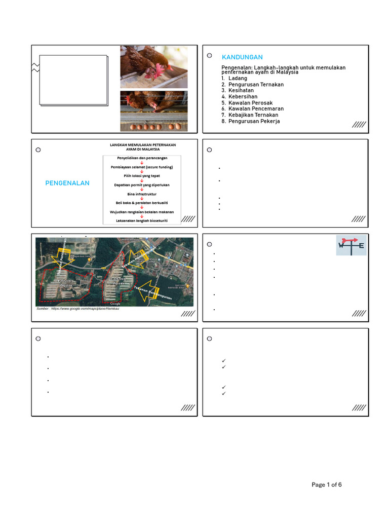 Basic Parameter For Layer Industry | PDF
