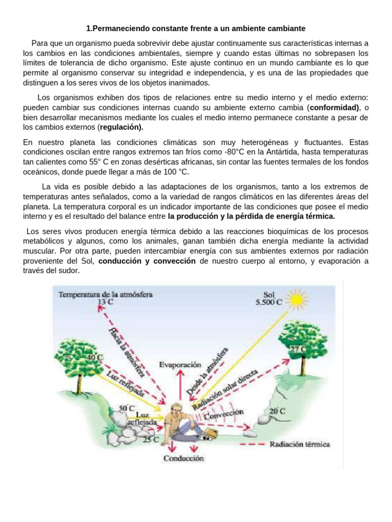 Permaneciendo Constante Frente A Un Ambiente Cambiante | PDF