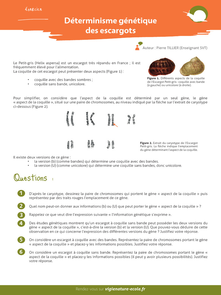 Exercice - Génétique | PDF