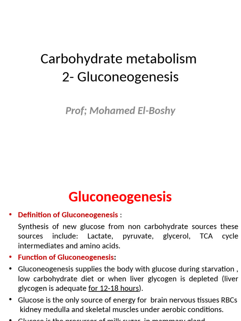 Carbohydrate Metabolism | PDF
