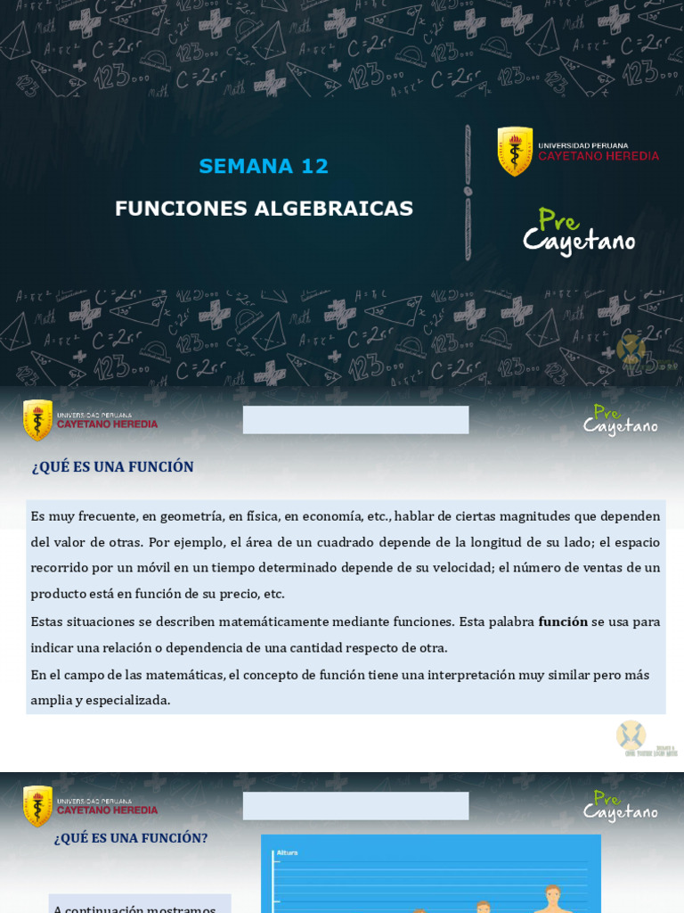 Funciones Algebraicas - Clase | PDF