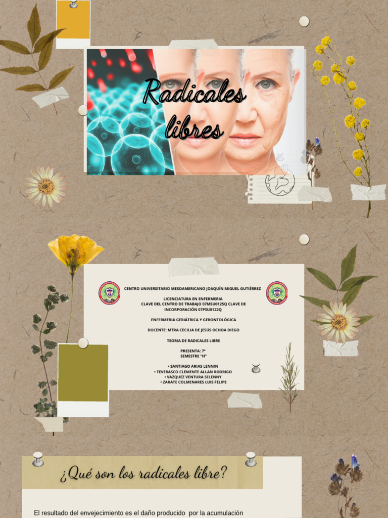 Teoría de Radicales Libres y Envejecimiento | PDF | Radical (Química ...