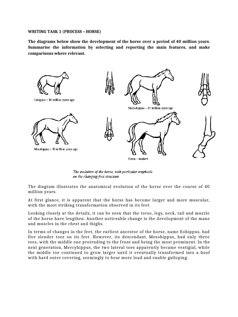 TASK 1 - PROCESS - HORSE | PDF