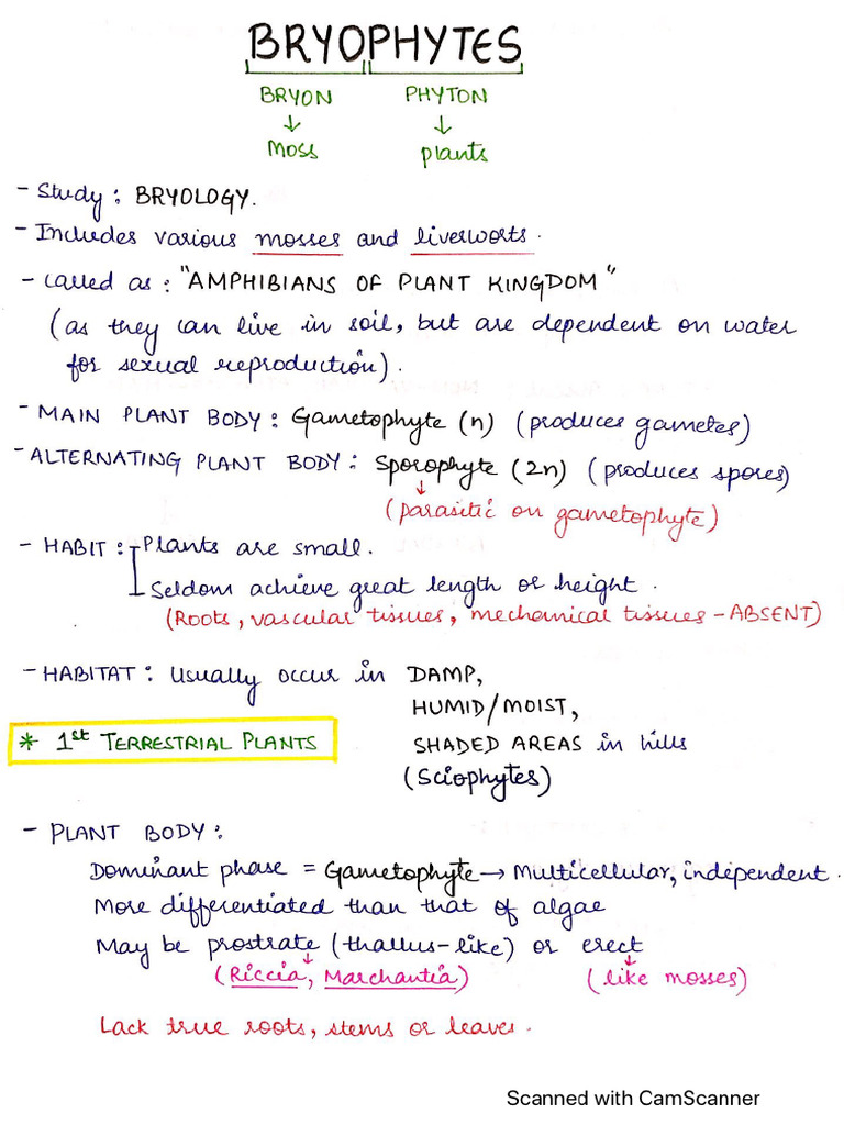 Bryophytes-Gen Features | PDF