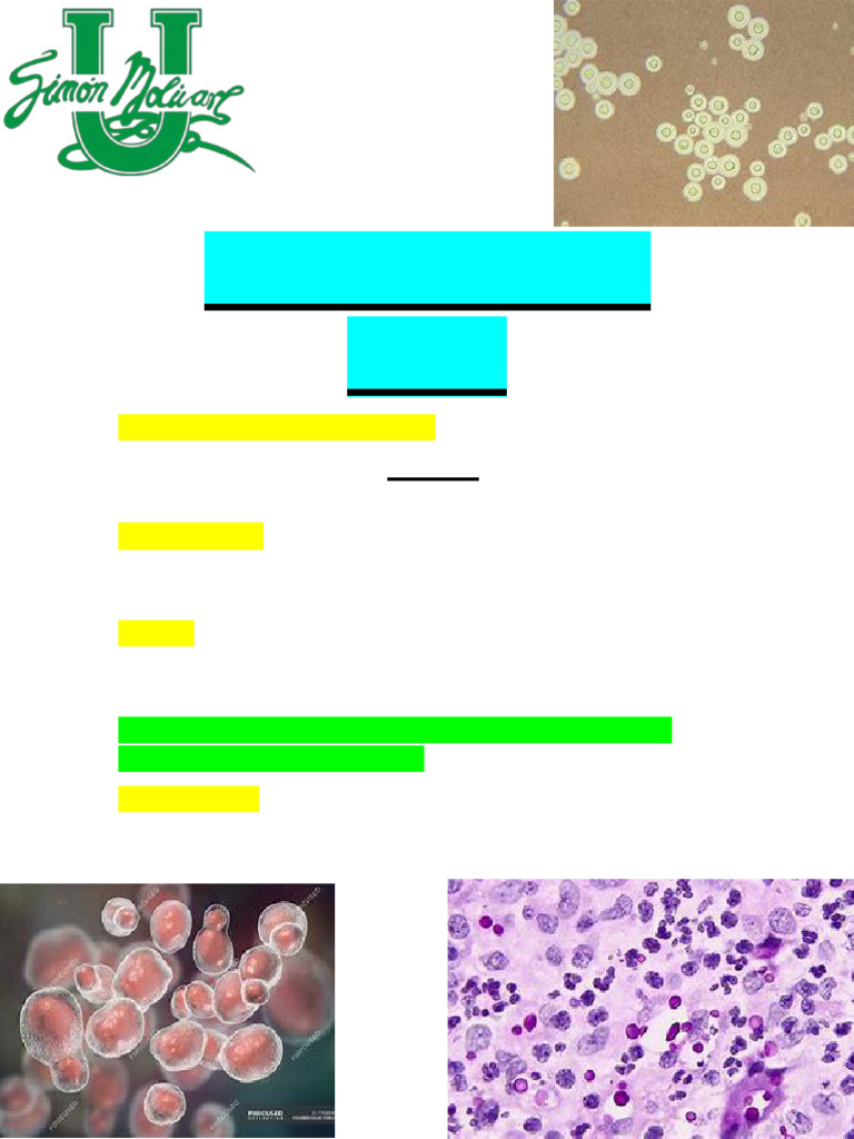 Cryptococcus Gattii | PDF