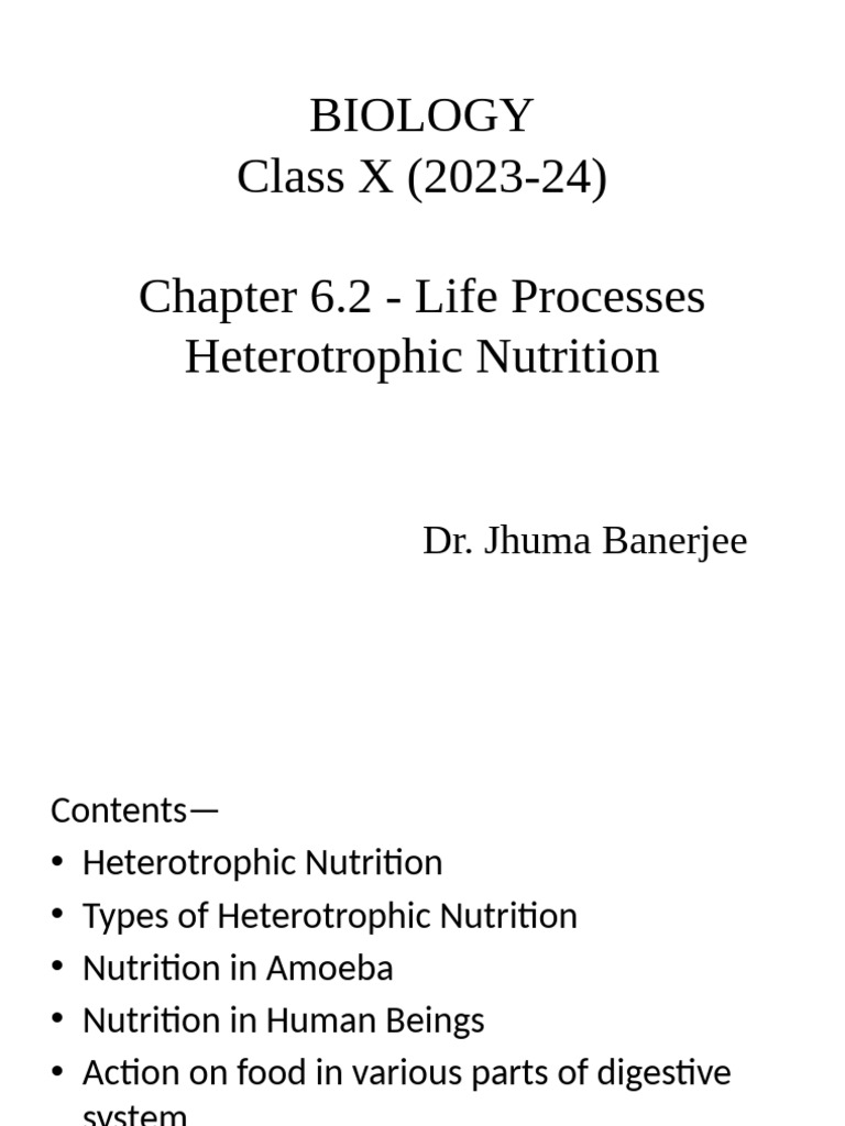 DR - Jhuma Banerjee X Science Chapter 6.2 | PDF