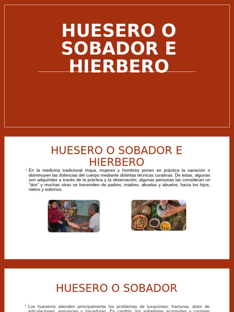 Huesero o Sobador e Hierbero | PDF