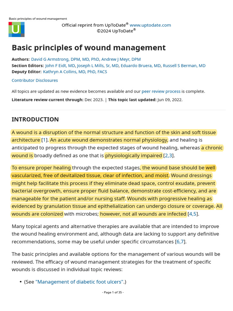 FERIDA - Basic Principles of Wound Management - OK | PDF