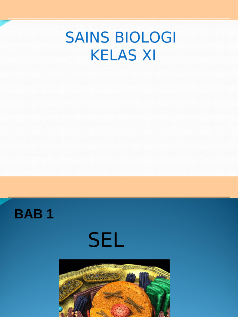 Bab1 SEL | PDF