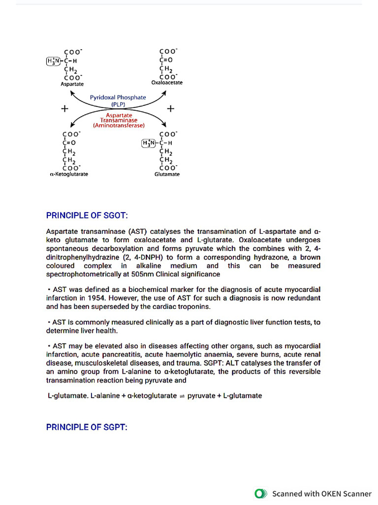 Sgot, SGPT | PDF