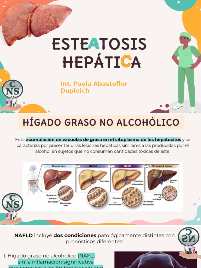 ESTEATOSIS HEPATICA - Int - Paola Abastoflor Dupleich | PDF