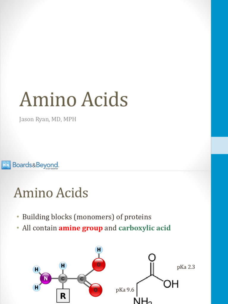 Amino Acids Atf | PDF