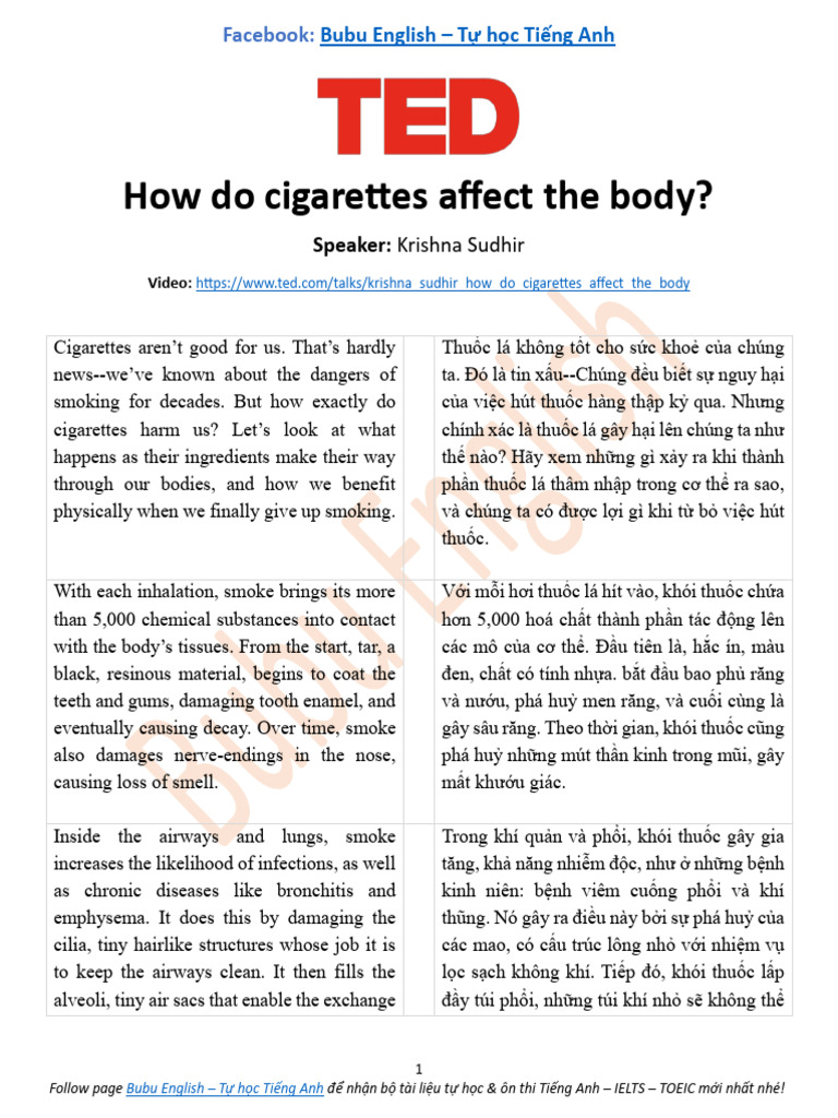 How Do Cigarettes Affect the Body | PDF