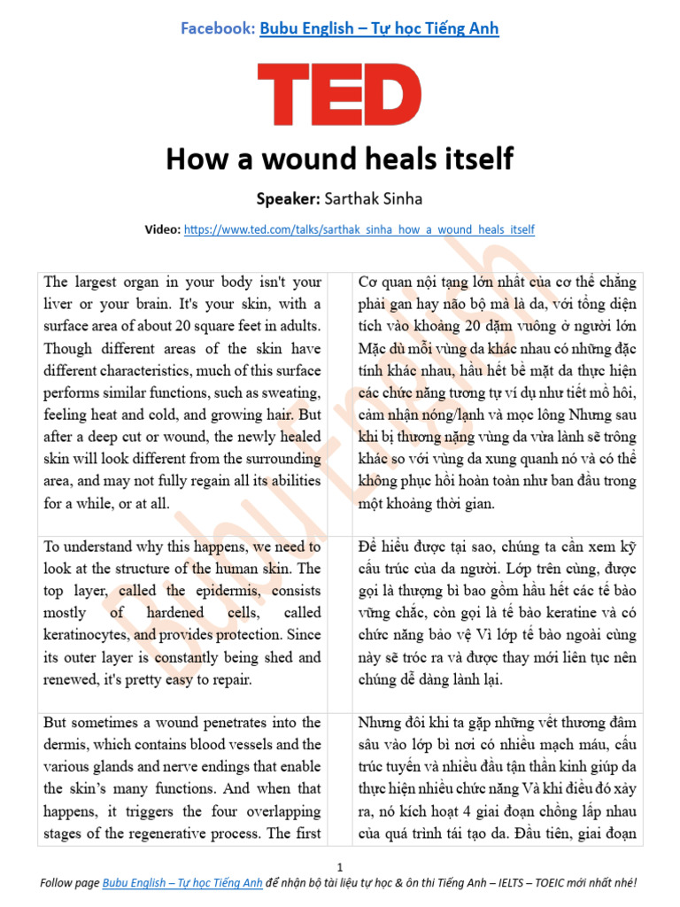 How A Wound Heals Itself | PDF