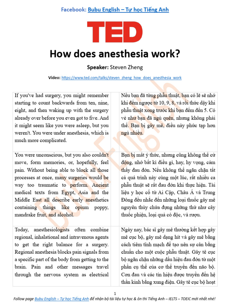 How Does Anesthesia Work | PDF