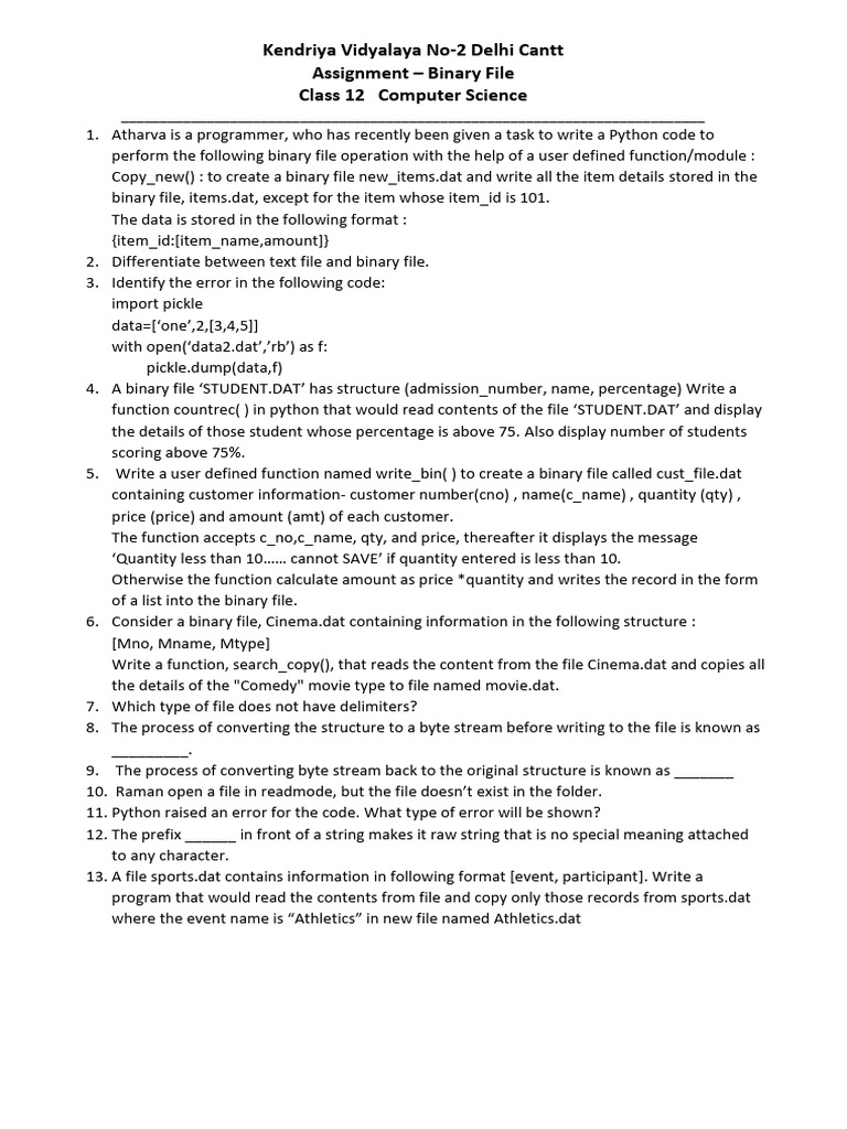 Assignment - Binary File | PDF