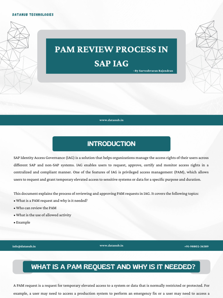PAM Review Process in SAP IAG | PDF